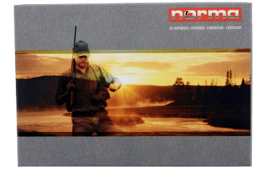 Test de la balle Alaska de Norma