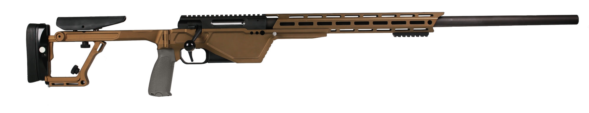Carabine 200 Phoenix de Sig Sauer