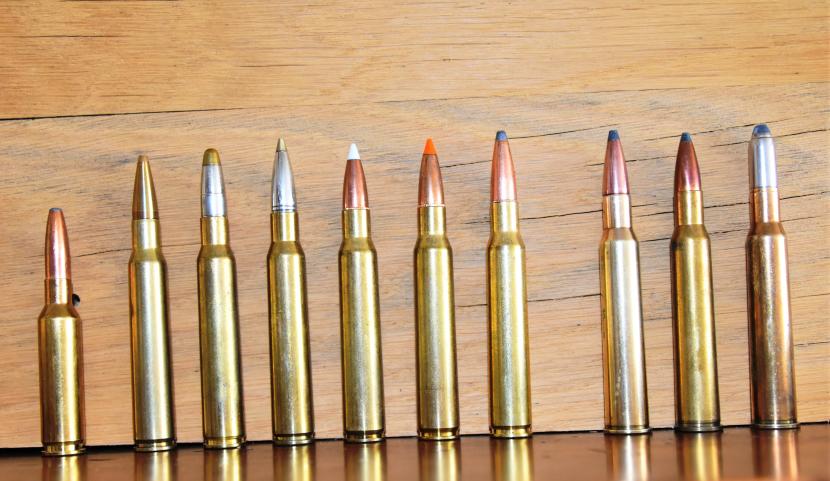7x64 et 7x65R Brenneke : deux calibres pour l'approche de tous nos gibiers