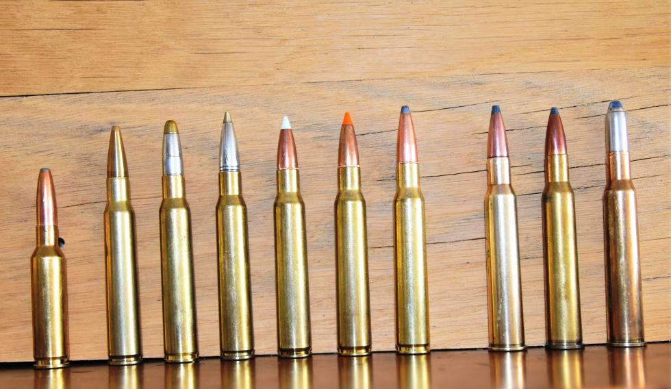 7x64 et 7x65R Brenneke : deux calibres pour l'approche de tous nos gibiers