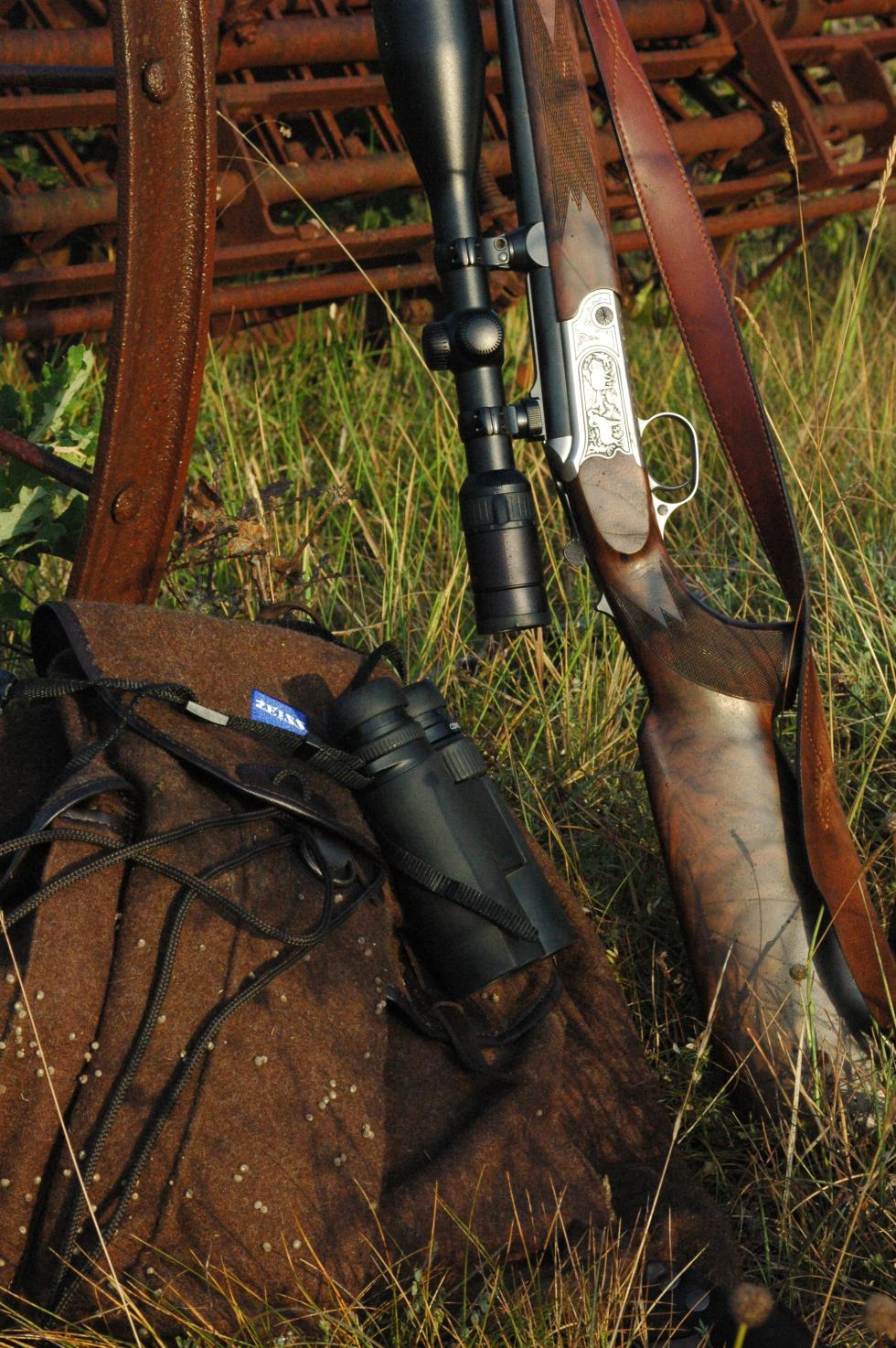 7x64 et 7x65R Brenneke : deux calibres pour l'approche de tous nos gibiers