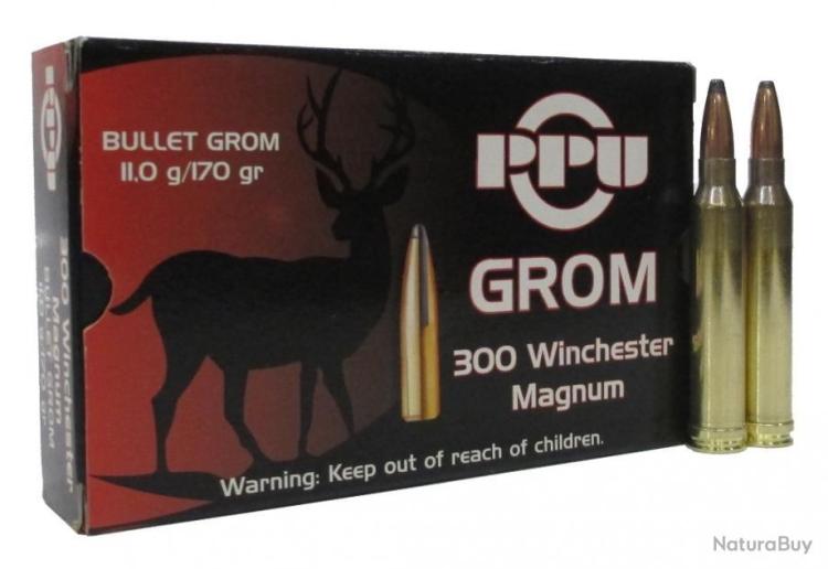 Guide d'achat sur le 300 Winchester Magnum pour la battue
