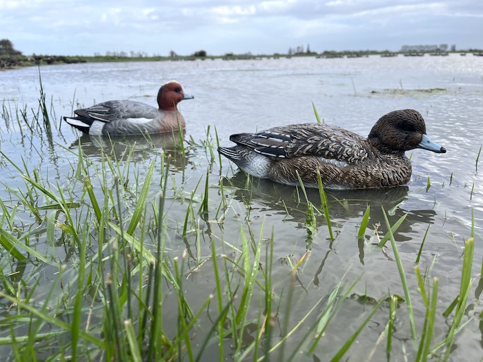 Test des appelants Ultra HD moussés de Stepland