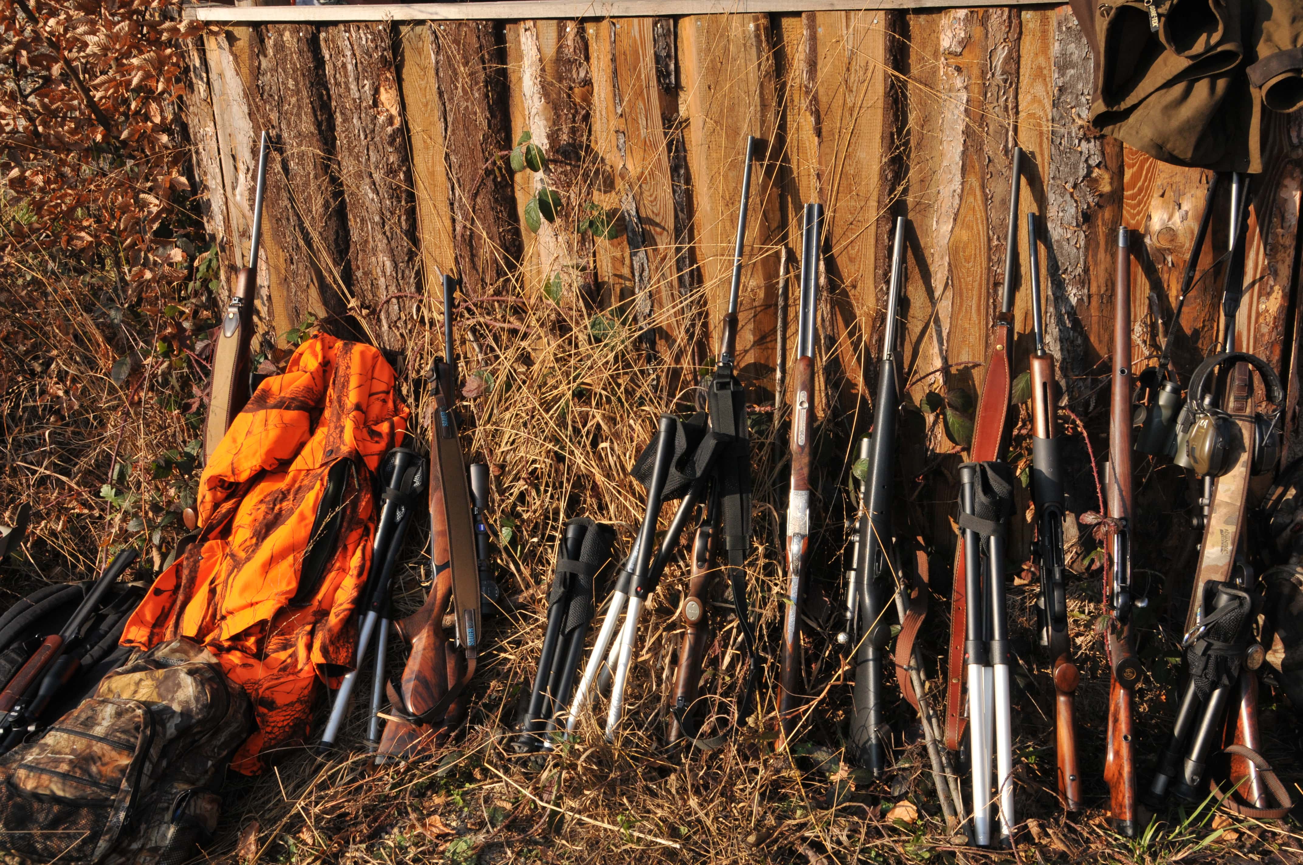 Quelle carabine de chasse pour débuter