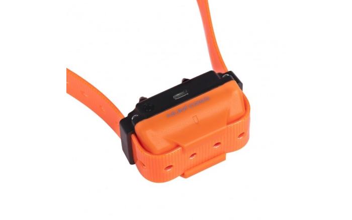 Collier de dressage Canicom R-800 de Num’axes