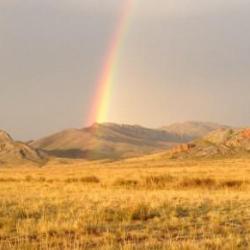 Chasse du Cerf Maral au Kazakhstan - Voyage de chasse (1413733)