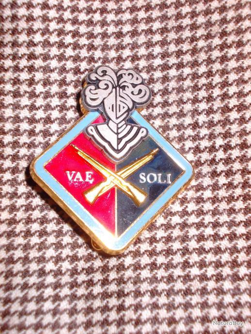 Centre Expérimental d'Entraînement au Combat, Vae soli - Insignes ...