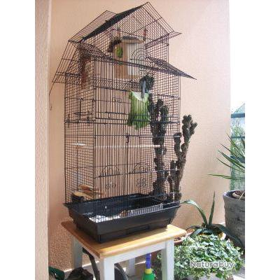 Cage oiseau canaris inséparable mandarin NEUF 13O - Cages à oiseaux et ...