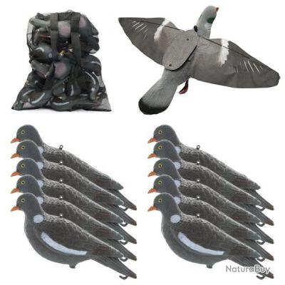 Pack Pigeon First - Formes plastiques (5502445)
