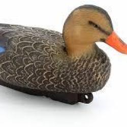 Appelant canard, appelant oie, blettes et formes plastiques - Naturabuy
