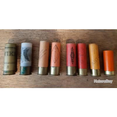 Cartouche de collection - Cartouches lisses (6718676)