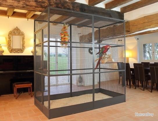 Volière panoramique 4x1x2m volière ara cage perroquet cacatoès volière ...