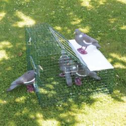 Piège à belette et pièges-cages, achat neuf et occasion - Naturabuy