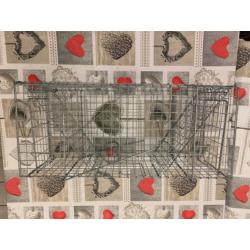 Piège à belette et pièges-cages, achat neuf et occasion - Naturabuy