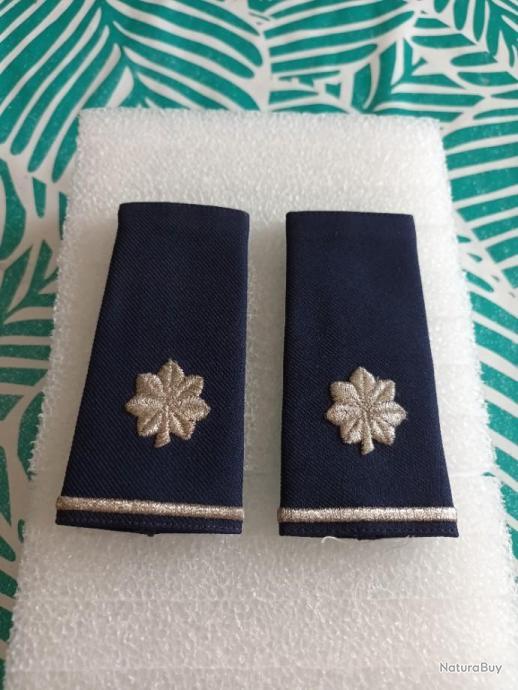 Paire de grades officier armée us USAF LIEUTENANT COLONEL original 1 ...