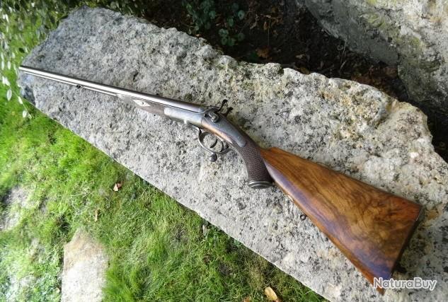 Carabine express calibre 450 BPE Alexander HENRY à poudre noire / Rifle ...