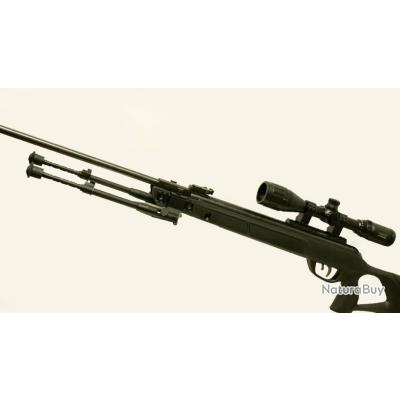 CARABINE AVEC BIPIED GAMO 12150 G-MAGNUM Cal. 6,35 mm,19,9 julios ...