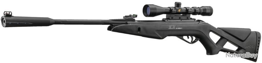 CARABINE A PLOMB GAMO WHISPER IGT 4.5MM 19.9J - Carabines à plomb moins ...