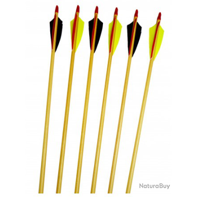 6 flèches OLD TRADITION - FLÈCHE BOIS PREMIUM - Flèches (10147878)
