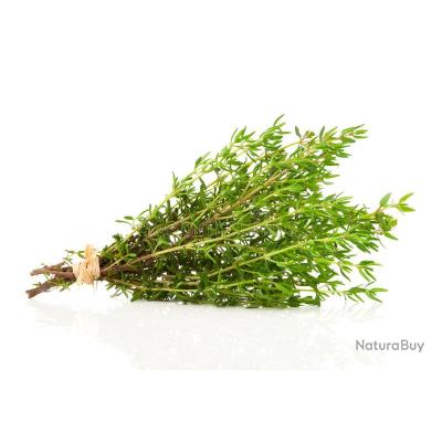 300 Graines de Thym - plante aromatique médicinale- semences paysannes ...