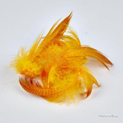 Plume de Flanc De Colvert De Charette ORANGE - Plumes (10217152)