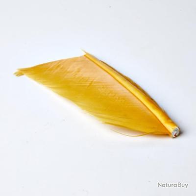 Substitut de Condor De Charette ORANGE CLAIR - Plumes (10217185)