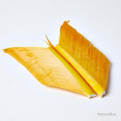 Quill D'aile De Dinde De Charette ORANGE - Plumes (10217194)