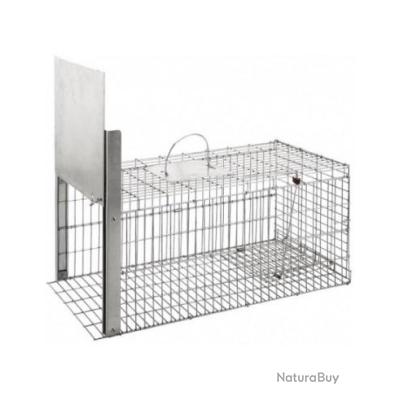Cage capture pour chats pliable éco - Pièges cages et belettières ...