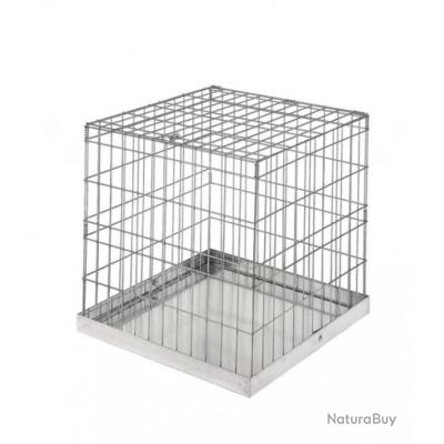 Cage d'exposition 60 x 60 cm - Cages à oiseaux et volières (10268716)