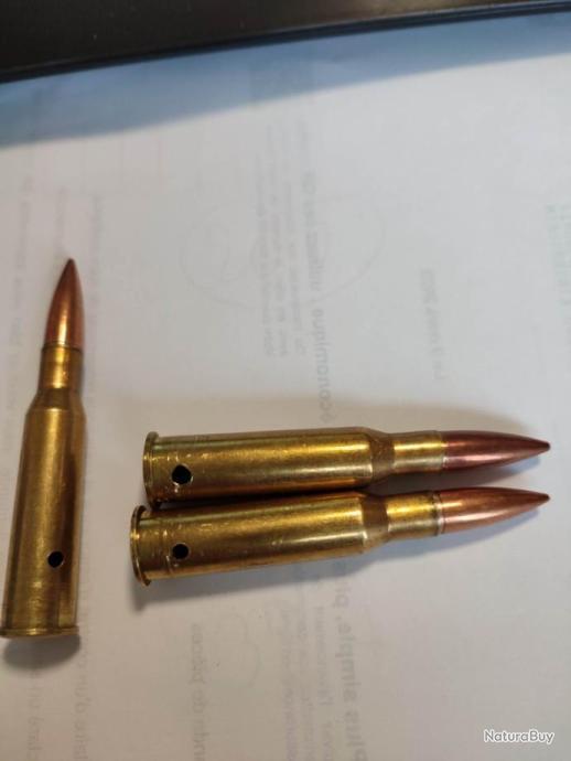 Vends Cartouches Mosin Nagan 7.62 X 54 R neutraliser pour manipulation ou colection CAT D ...