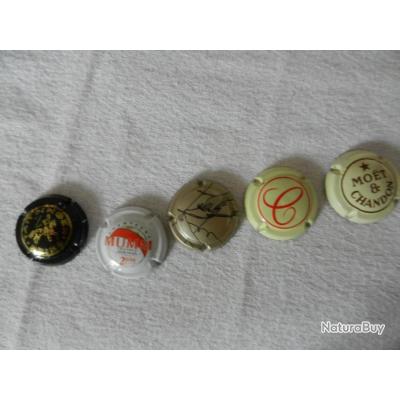 N°29 - lot de 5 capsules de muselet pour champagne ou crément - Objets ...