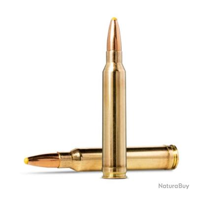 .300 Win. Mag. Plastic Point 11,7g/180grs (Calibre: .300 Win. Mag ...