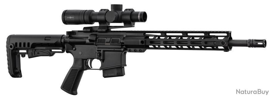 Pack AR15 PERUN ARMS 14.5'' - Cal.223 Rem + lunette Pinnacle 1-6x24 ...