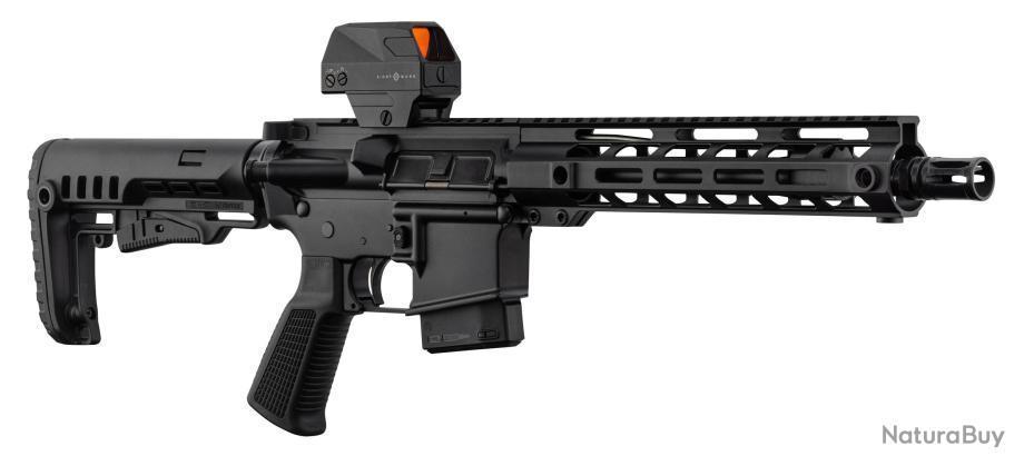 Pack AR15 PERUN ARMS 10.5'' cal 223 Rem + point SIGHTMARK Volta Solar ...