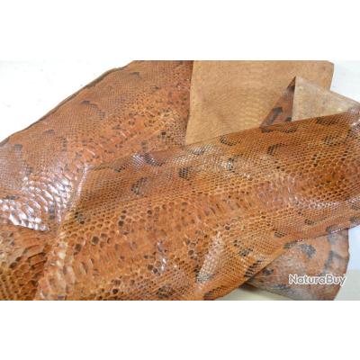 Peau de serpent ancienne cuir reptil - Peaux, tannages (10640498)