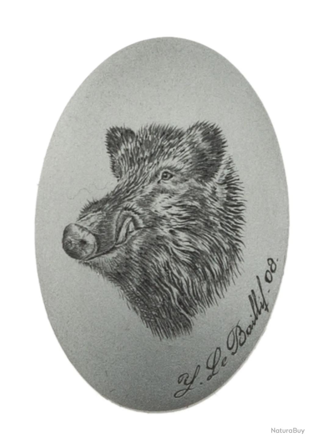 Calotte Pour Fusil Et Carabine Aspect Argent Sanglier - Calottes et ...