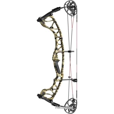 HOYT - TORREX 30-40 # DROITIER (RH) ORIGIN RAPTOR KEEP HAMMERING - Arcs ...