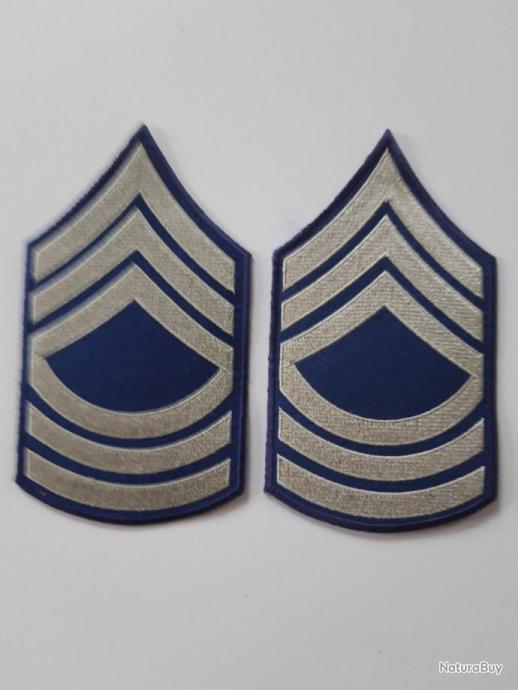 PAIRE D INSIGNES DU GRADE DE MASTER SERGEANT U.S.MODELE BEIGE ,FOND ...