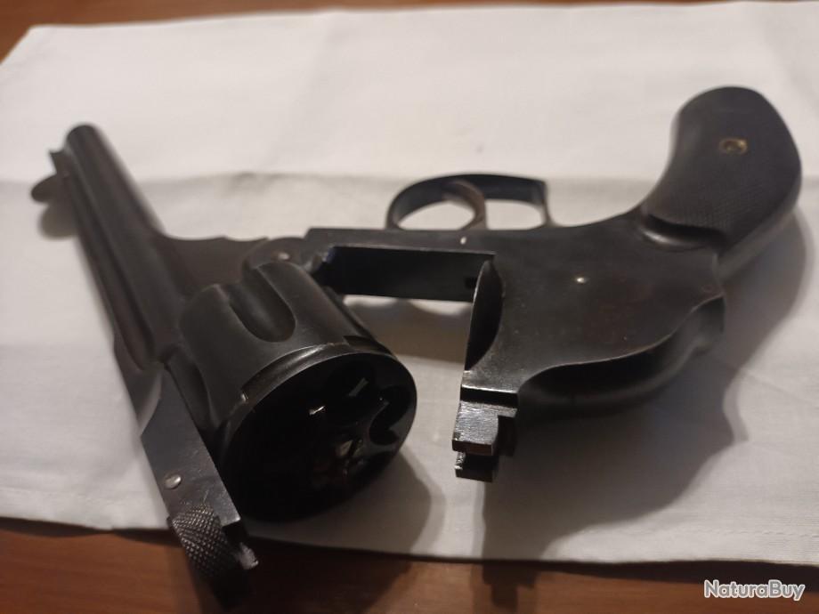 Revolver Hammerless en 450 - Revolvers à poudre noire (13637895)
