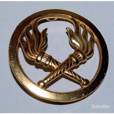Insigne militaire - Insignes de beret - Insignes de col (11411329)