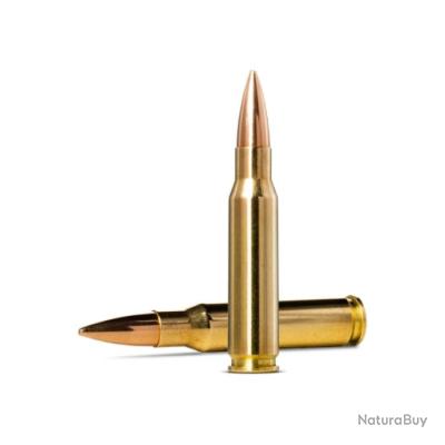 Balles Norma Golden Target - Cal. 308 Win Mag - 155 gr / 10 g / Par 1 ...