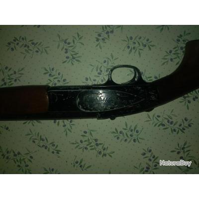 Fusil firearm's monocoup - Fusils monocoup et à répétition manuelle ...