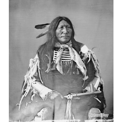 STARLUX: LES GRANDS SACHEMS - Soldats et figurines (11594347)