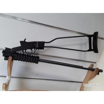 1719 B - CARABINE 17 HMR CHIAPPA LITTLE BADGER - NEUF! - Carabines 17 ...