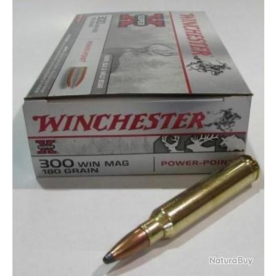1 boite 20 cartouches de calibre 300 Winchester Magnum Power point ...