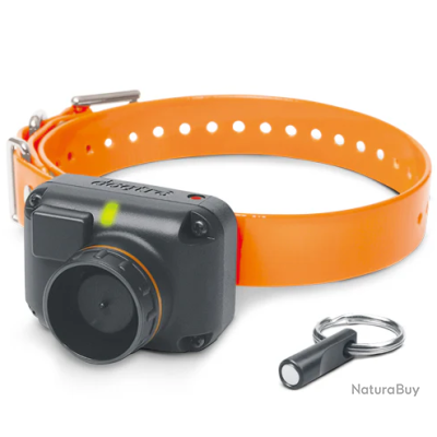Collier Dogtra STB - STB BEEP-H - Colliers beepers (12173330)