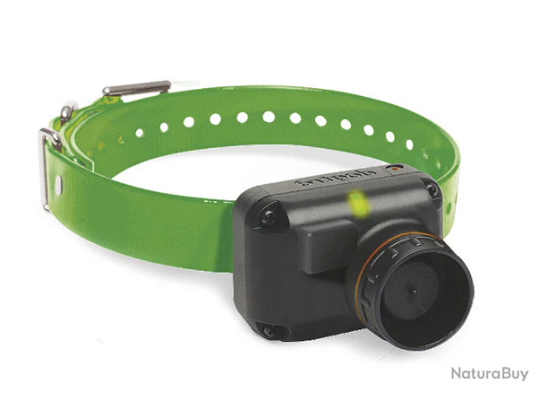 Collier supplémentaire Dogtra 2600 T&B - Vert - Colliers beepers (12176157)