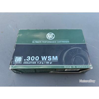 Munitions RWS 300WSM EVO - Balles Calibre 300 WSM (12274919)