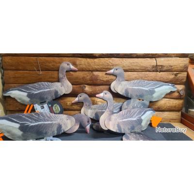 Lot de 17 appelants Oies rieuses NRA FUD Leurres - Formes plastique ...