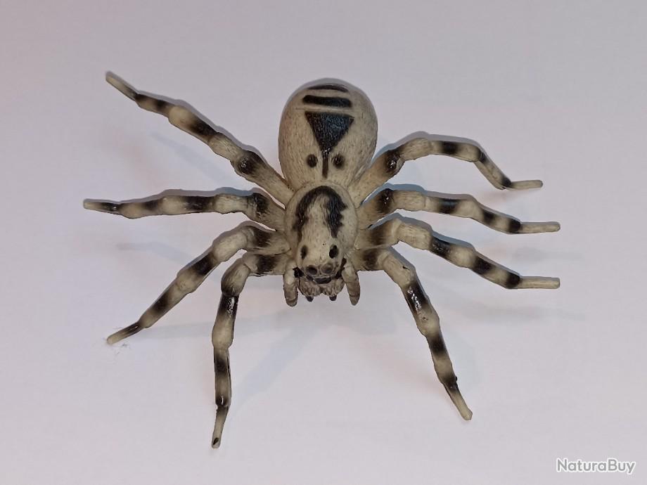 Fake spider store